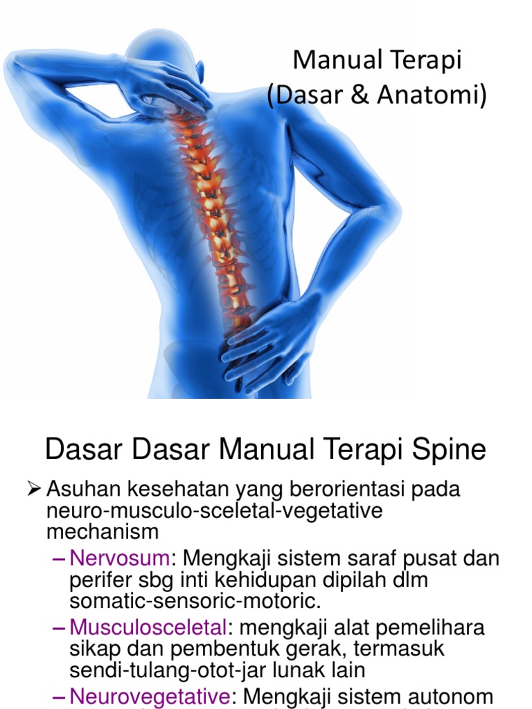 Manual Terapi (Dasar & Anatomi) | PDF