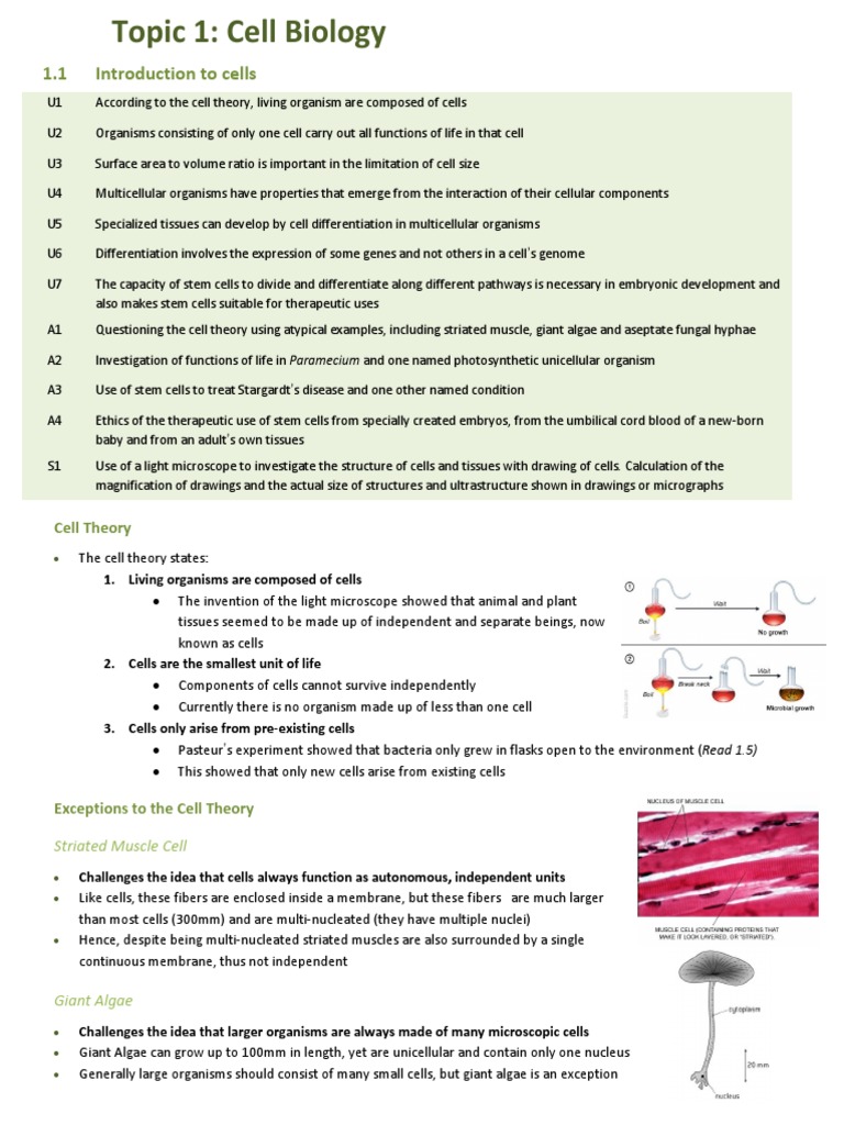 1.1 Introduction To Cells: Cell Theory | PDF | Cell Membrane ...