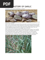 Garlic Farming Guide: Cultivation & Care | PDF | Garlic | Mulch