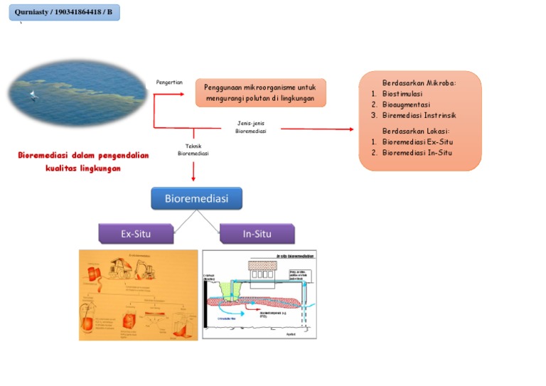 Bioremediasi: Teknik dan Jenisnya | PDF