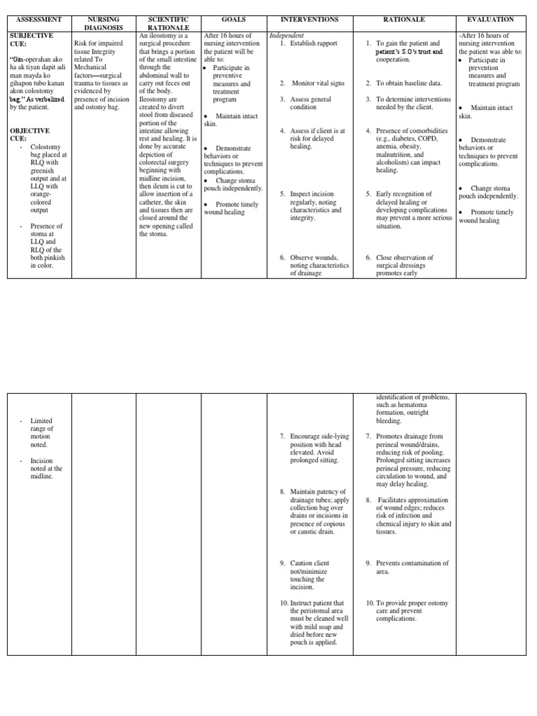 4 NCP-Impaired Skin Integrity | PDF | Wound | Surgery