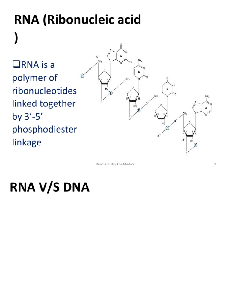 An Overview of the Structural Characteristics and Functions of ...