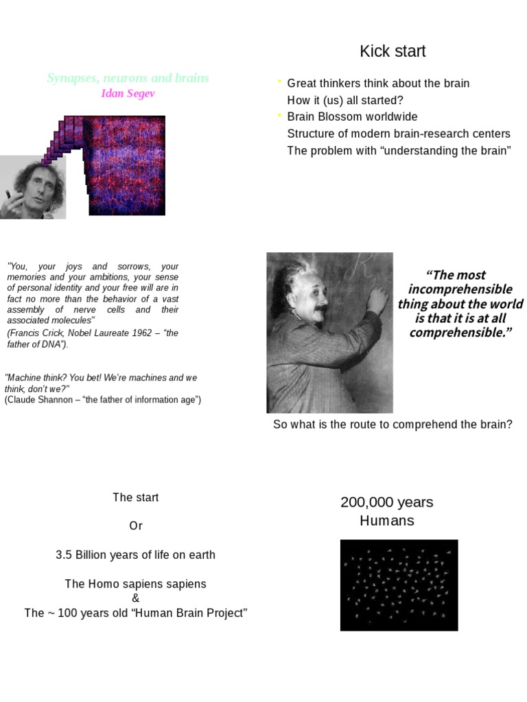Kick Start: Synapses, Neurons and Brains | PDF | Neuroscience | Brain