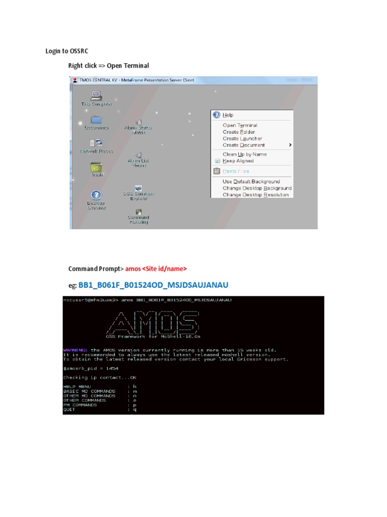 AMOS Command Guide | PDF