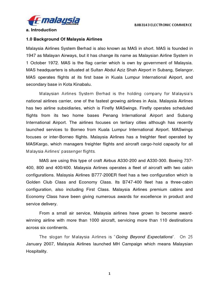Backgroud of Malaysia Airlines 1 | PDF | Airlines | Market Segmentation