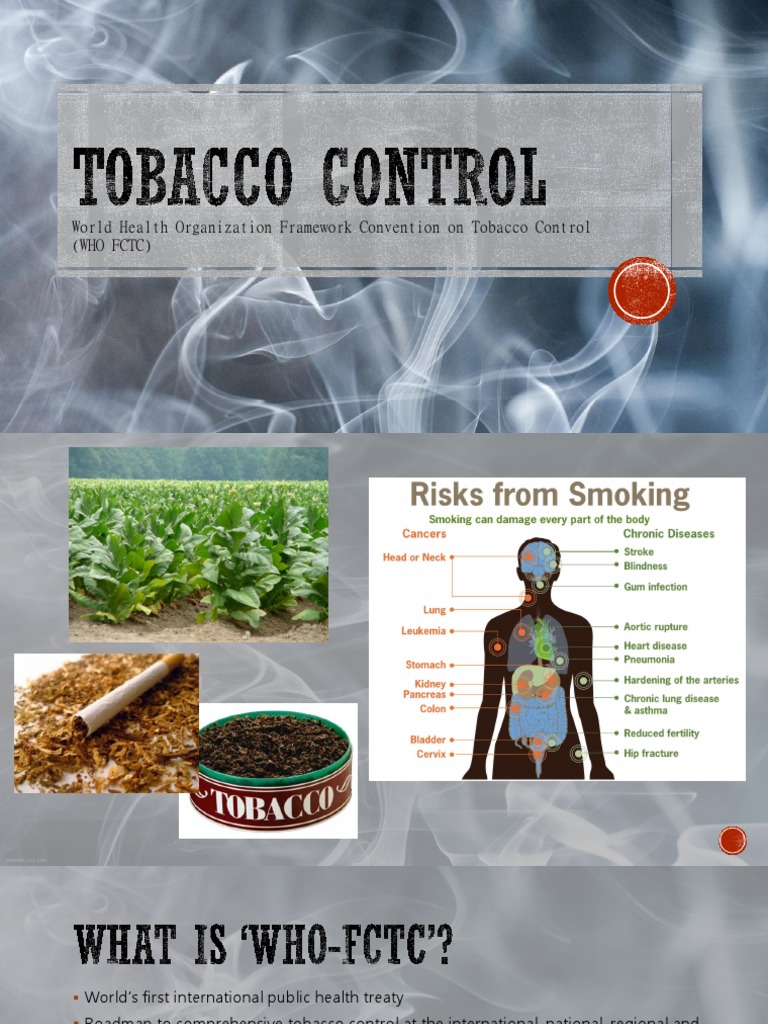 Tobacco Control | PDF