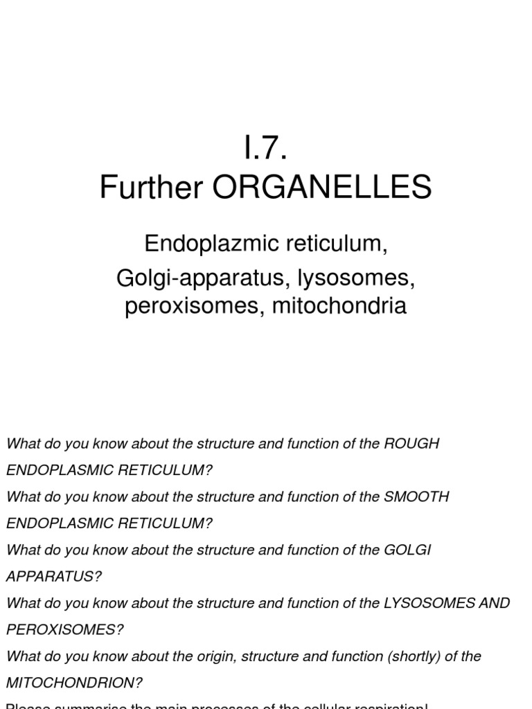 I.7. Further ORGANELLES: Endoplazmic Reticulum, Golgi-Apparatus ...