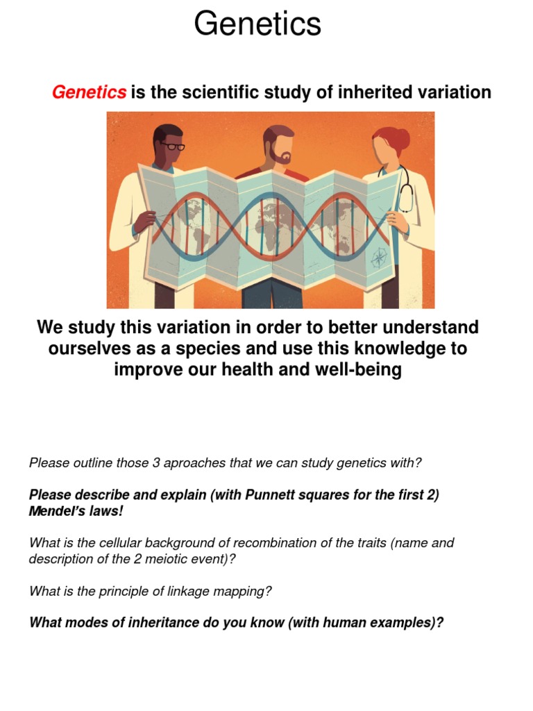 I.9. Classical Genetics Final | PDF | Dominance (Genetics) | Zygosity