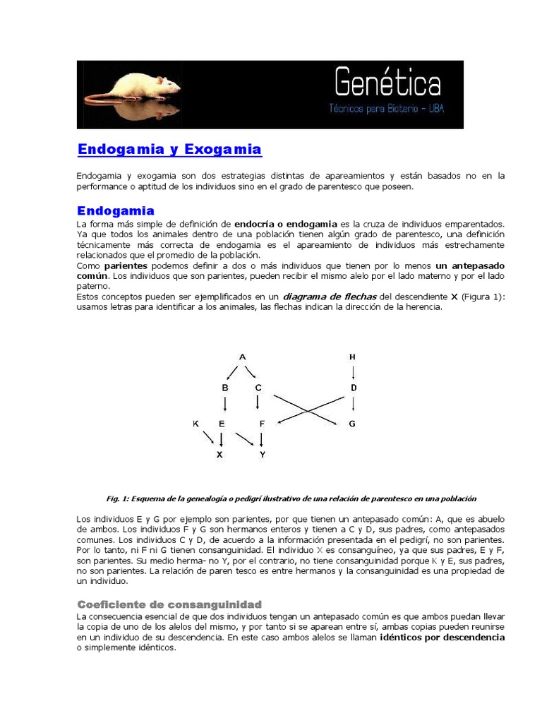 Endo y Exo | PDF | Endogamia | Dominancia (Genética)