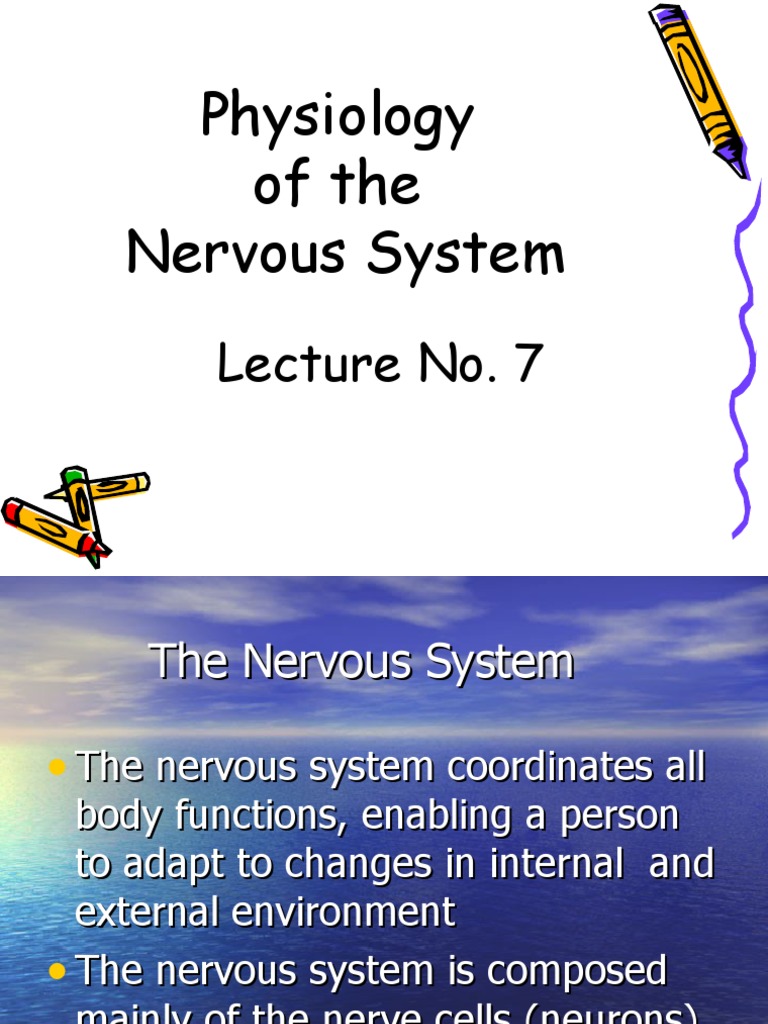 Physiology of The Nervous System: Lecture No. 7 | PDF | Action ...