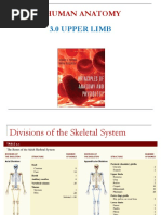 Chapter 6 - Muscles of Upper Limb | PDF | Thumb | Arm