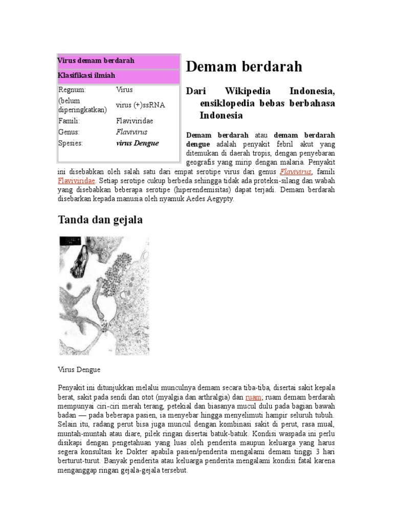 Panduan Lengkap Demam Berdarah | PDF