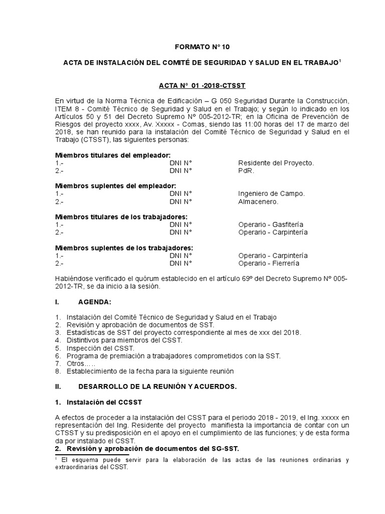 Acta de Comité de Seguridad y Salud en El Trabajo | PDF | Gobierno