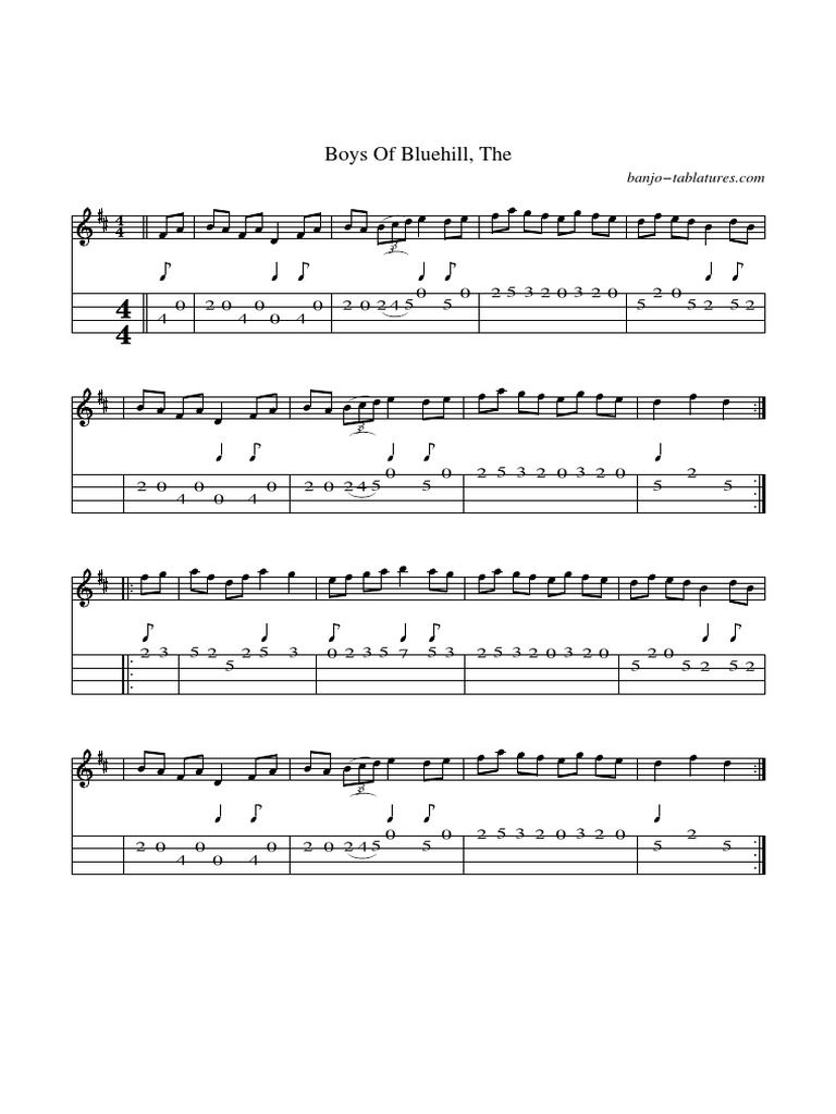 Boys of Bluehill Hornpipe | PDF