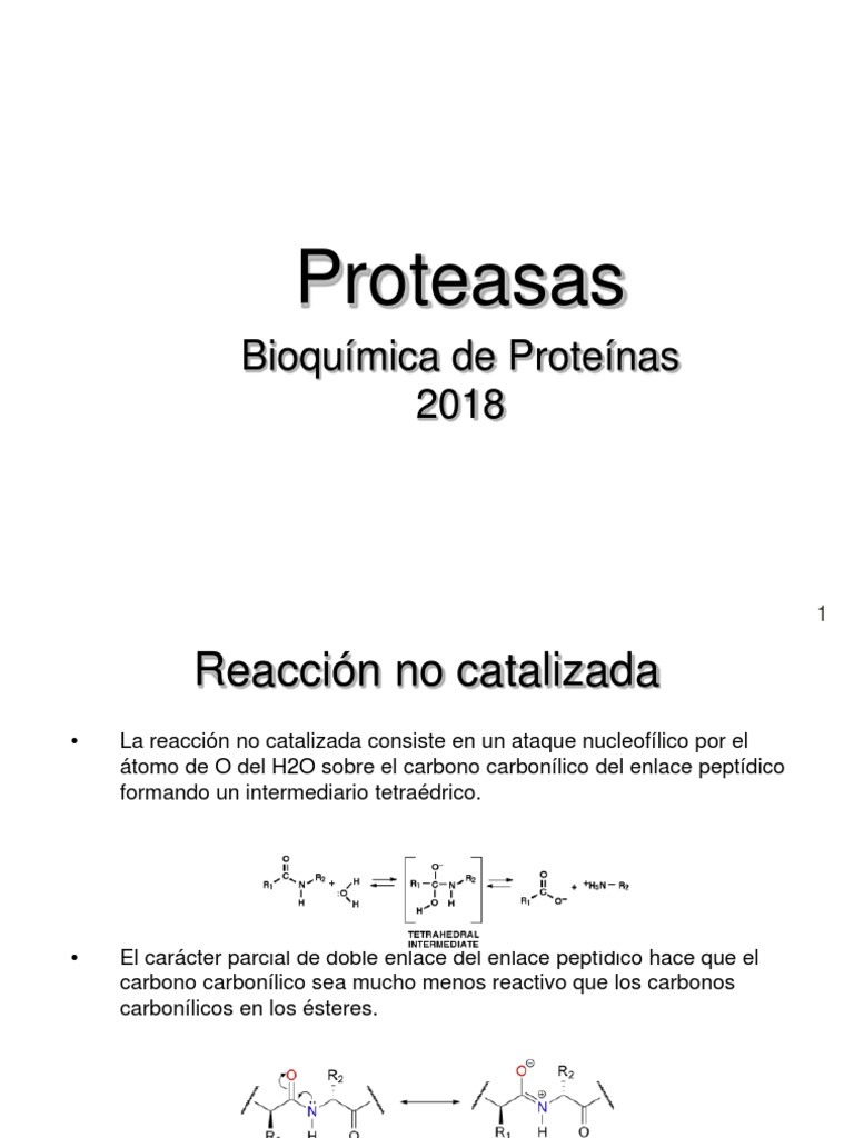 Proteasa Bioquima de Las Proteinas | PDF | Péptido | Proteasa