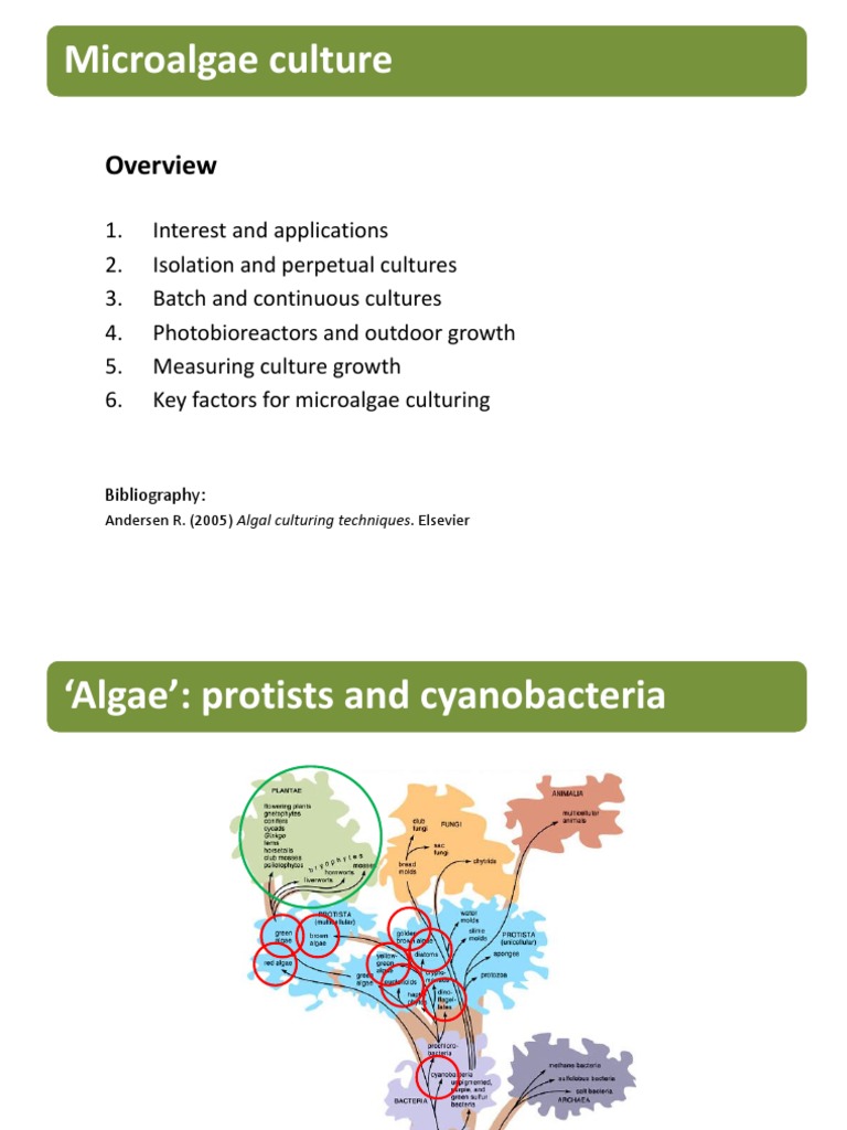 CCT Module 3 04 | PDF | Cell Culture | Algae