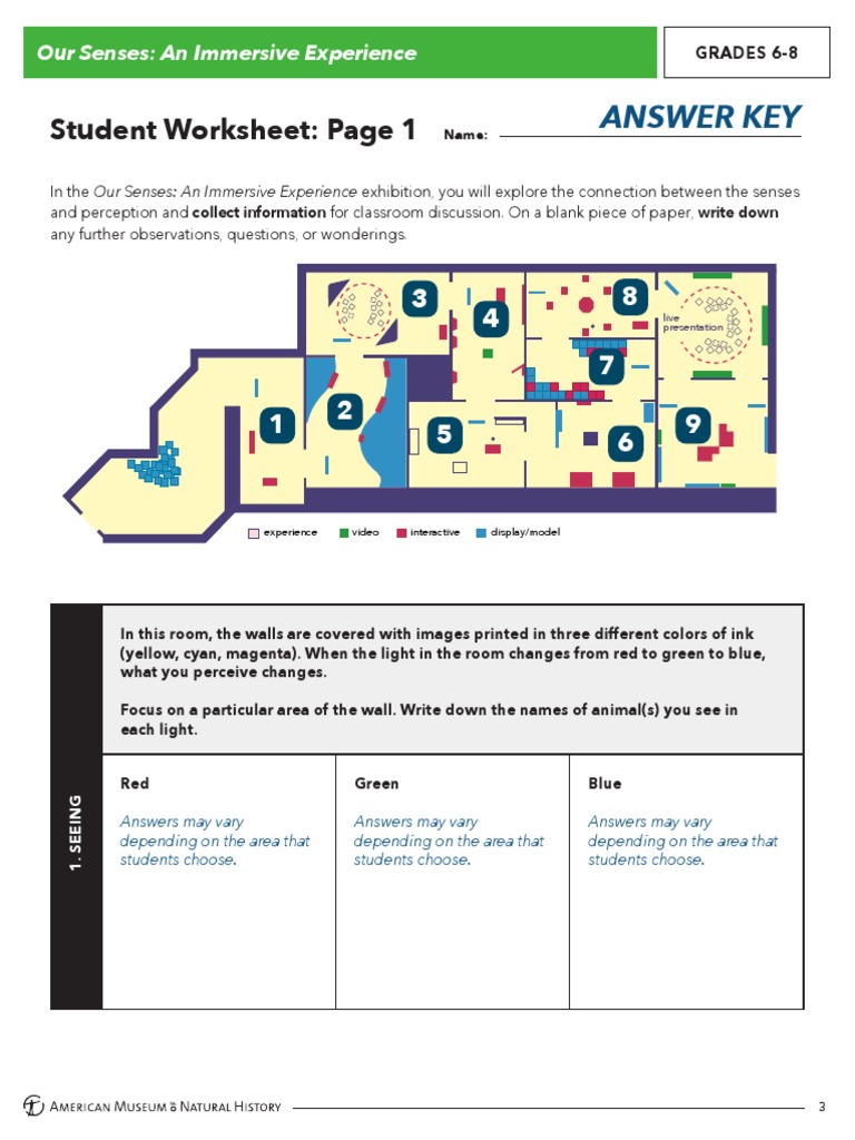 Student Worksheet: Page 1: Answer Key | PDF | Senses | Perception