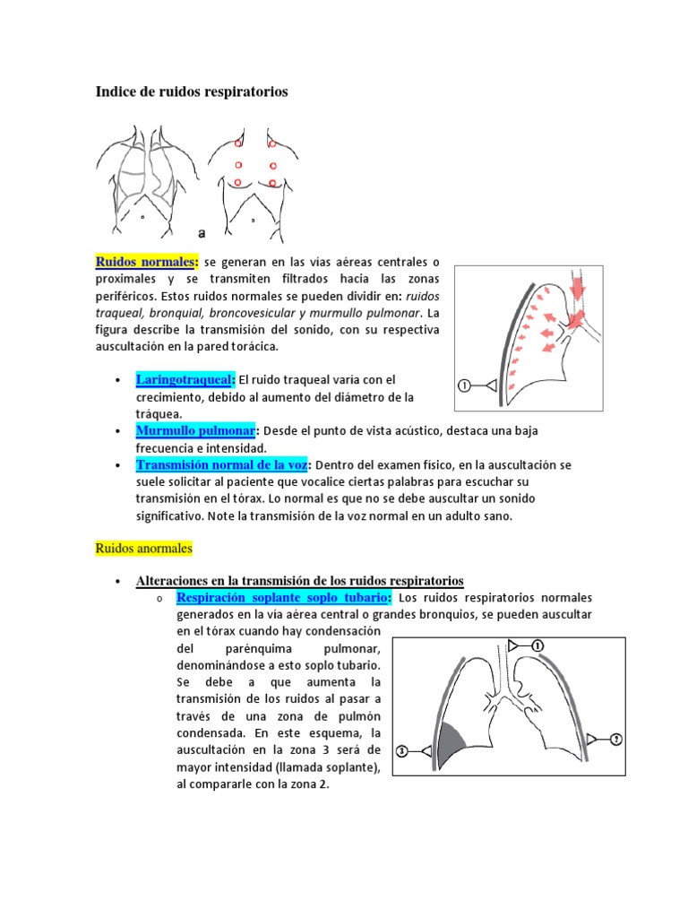 Indice de ruidos respiratorios | Enfermedades y trastornos | Sistema ...