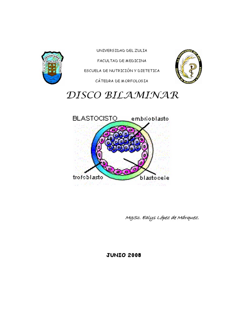 Disco Bilaminar | PDF | Placenta | Anatomía