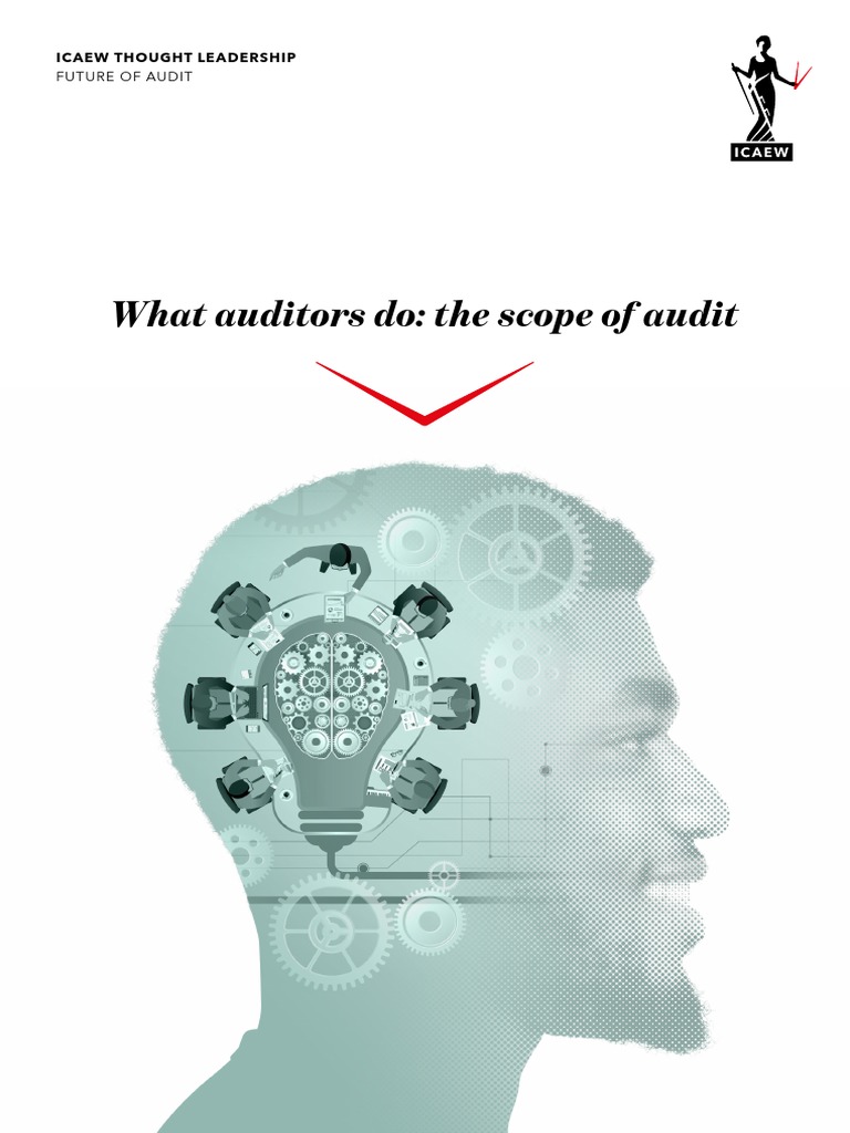 What Auditors Do The Scope of Audit | PDF | Financial Audit | Audit