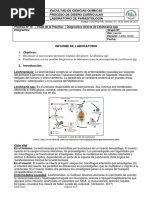 Prueba de Montenegro en Leishmaniasis | PDF | Sistema inmune ...
