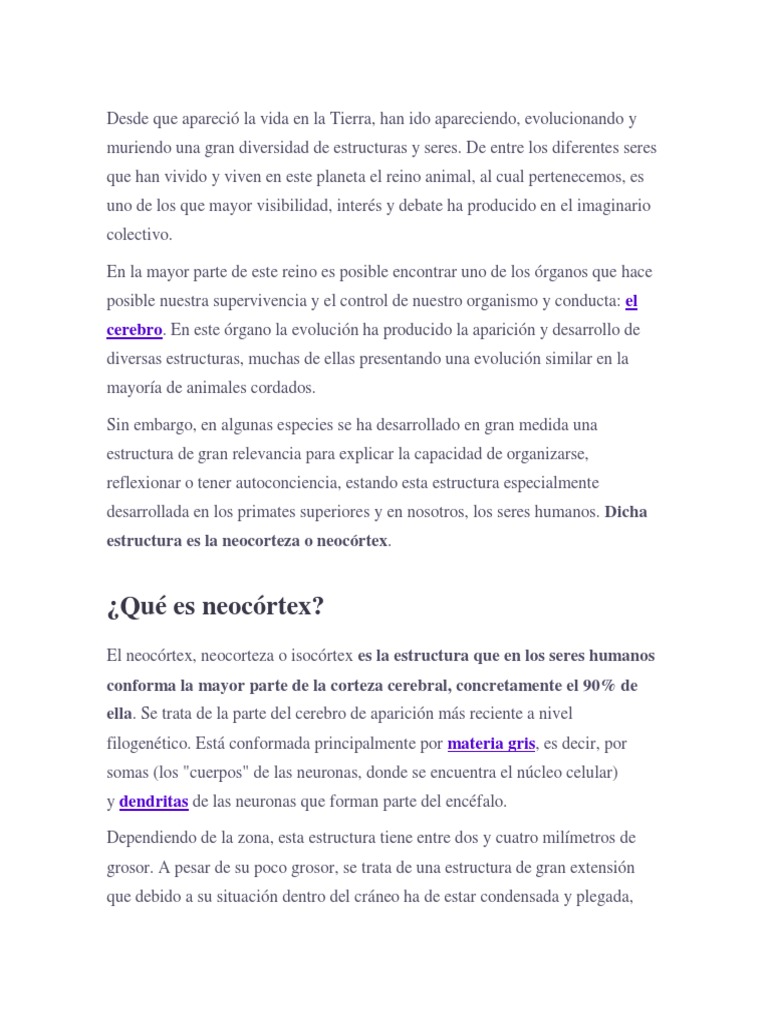 Neocórte Estructura y Funciones | PDF | Neocortex | Corteza cerebral