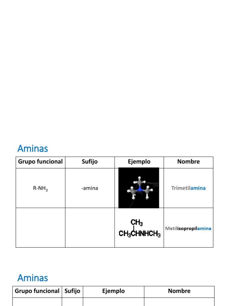 Amina Amida y Macromoléculas | PDF | Glucosa | Carbohidratos