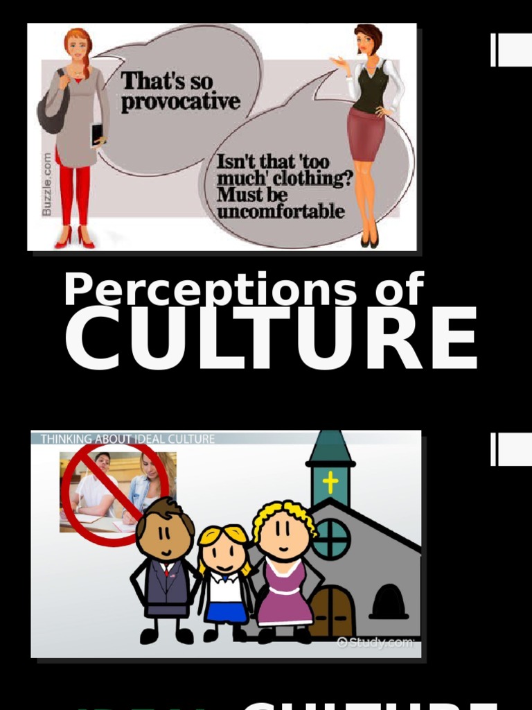 Perceptions of Culture | PDF