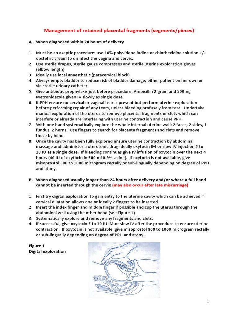 Retained Placental Fragments Management | PDF | Uterus | Intravenous ...