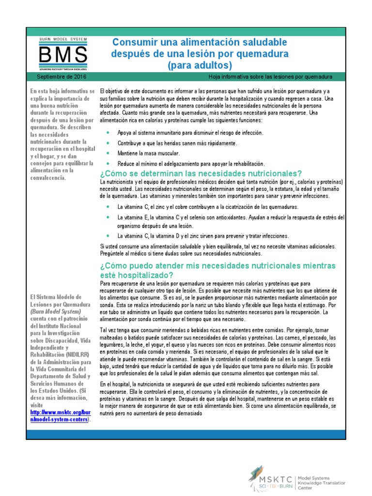 Burn Nutrition Adults SP | PDF | Alimentos | Nutrición