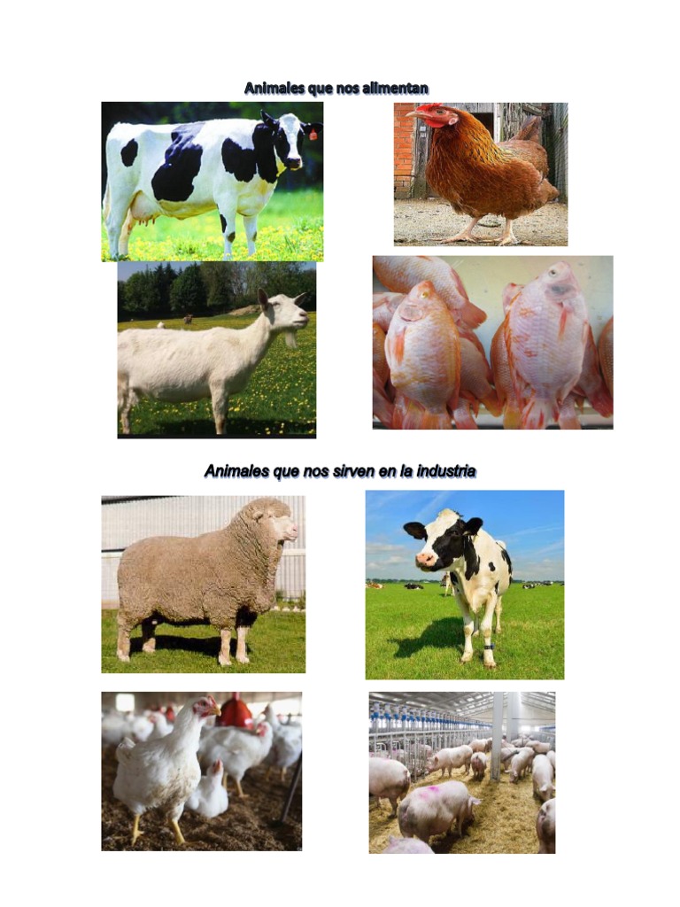 Animales para Uso en La Industria | PDF