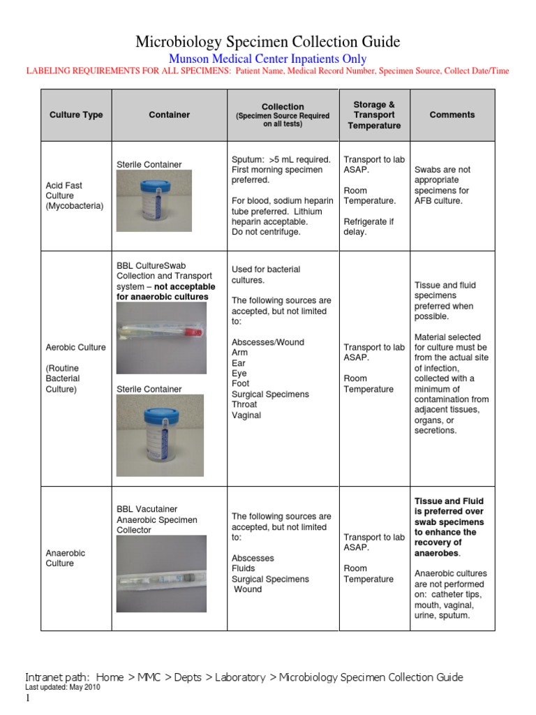 Microbiology Specimen Collection Guide | PDF | Rectum | Medicine