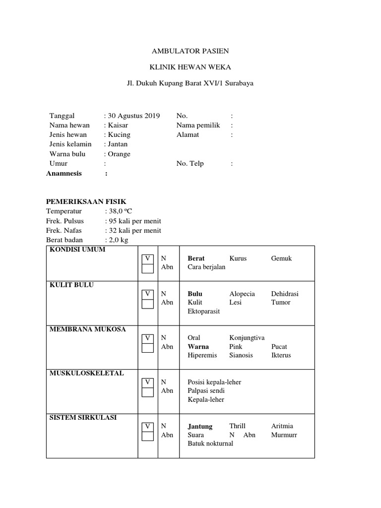 Ambulator Pasien | PDF