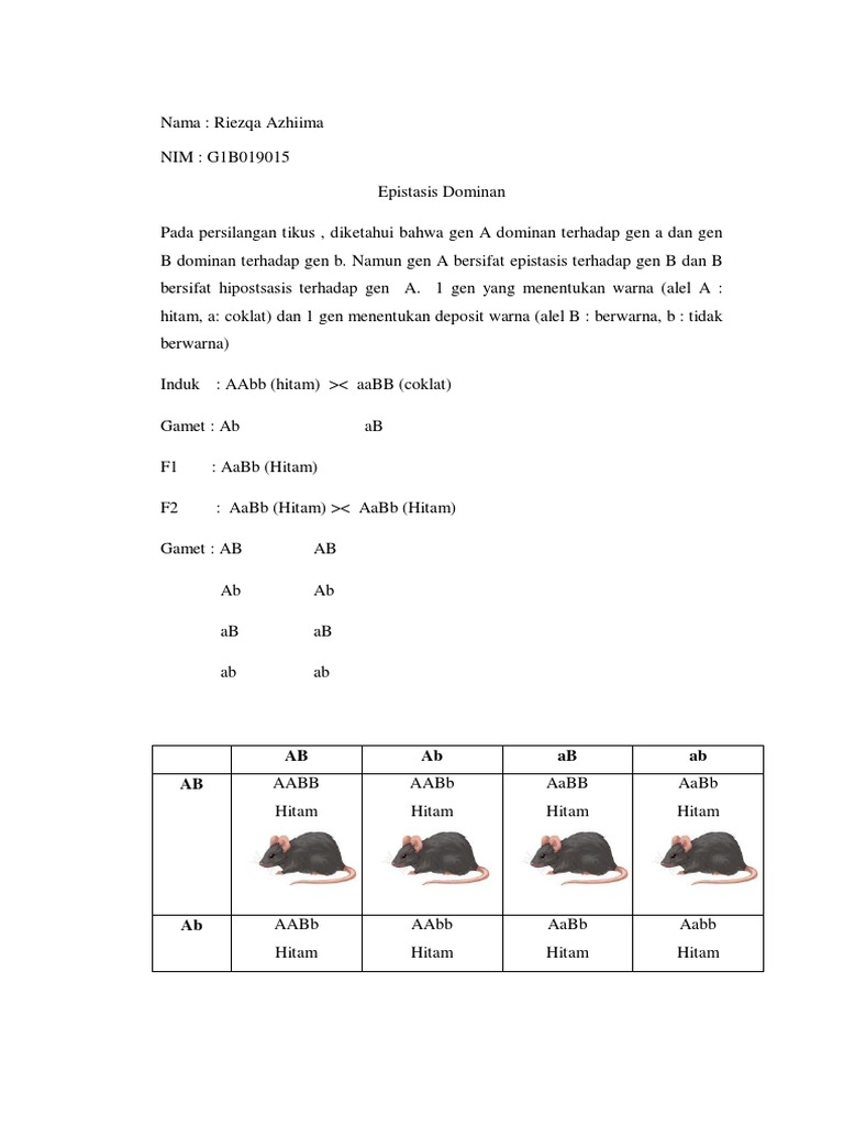 Epistasis Dominan | PDF