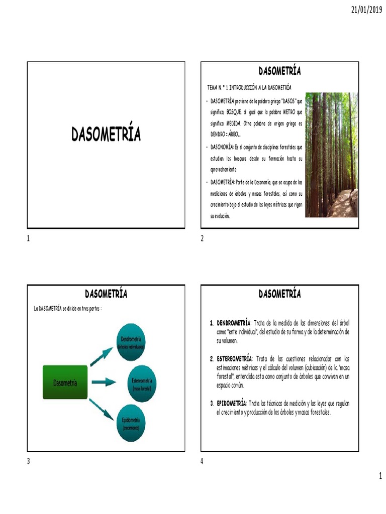 Dasometria | PDF | Arboles | Medición