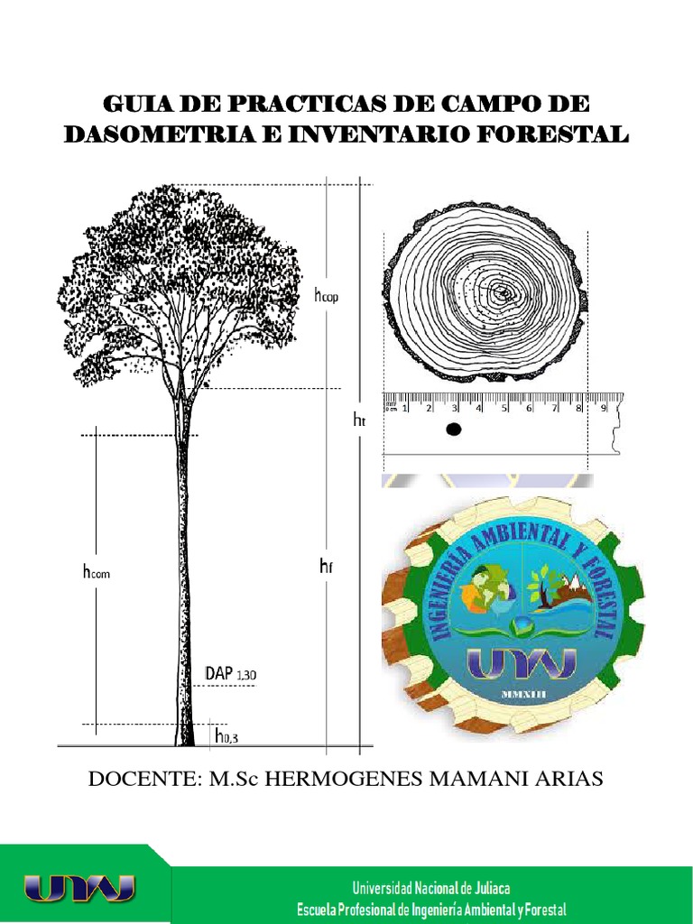 Guia de Practica Dasometria(1) | Arboles | Medición