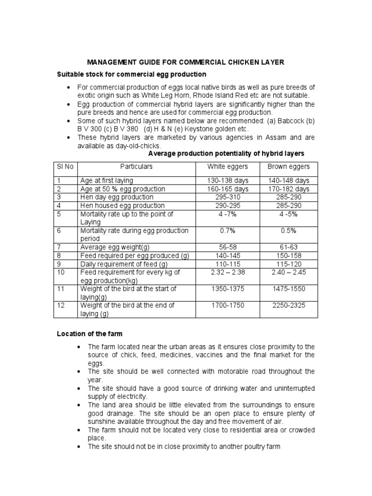 Layer Management Guide Farmers Corner | PDF | Chicken | Egg As Food