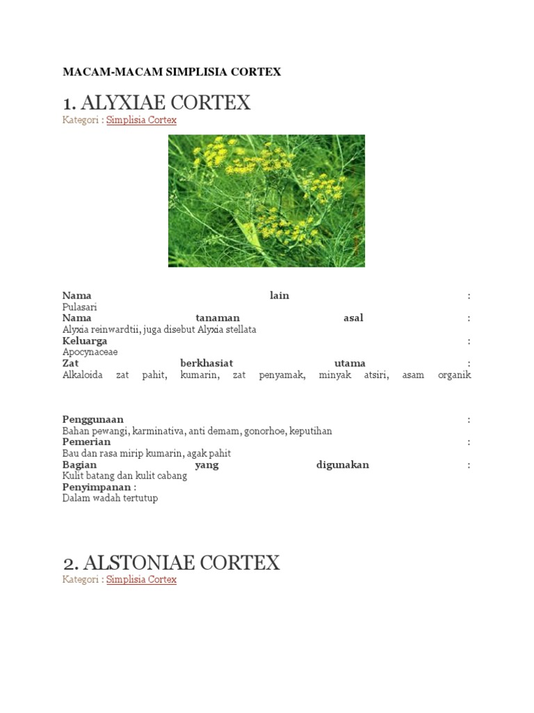 CORTEX | PDF
