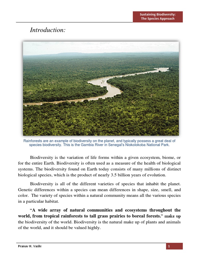 Sustaining Biodiversity EVS Project | PDF | Extinction | Biodiversity