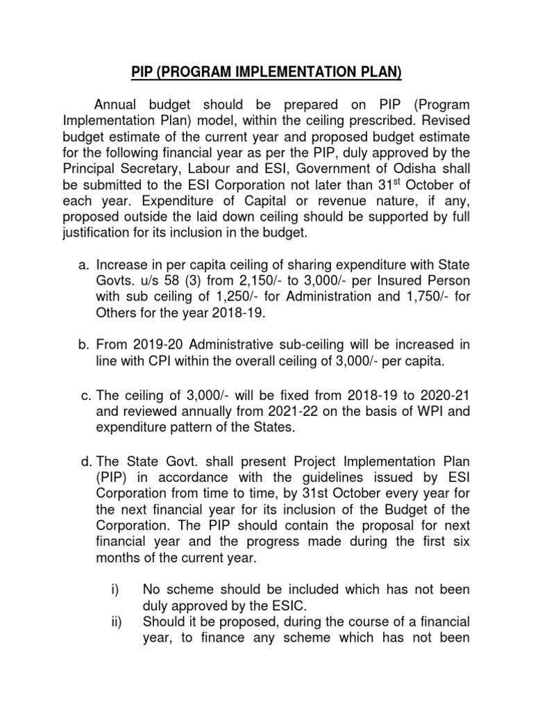 Pip (Program Implementation Plan) | Download Free PDF | Government ...
