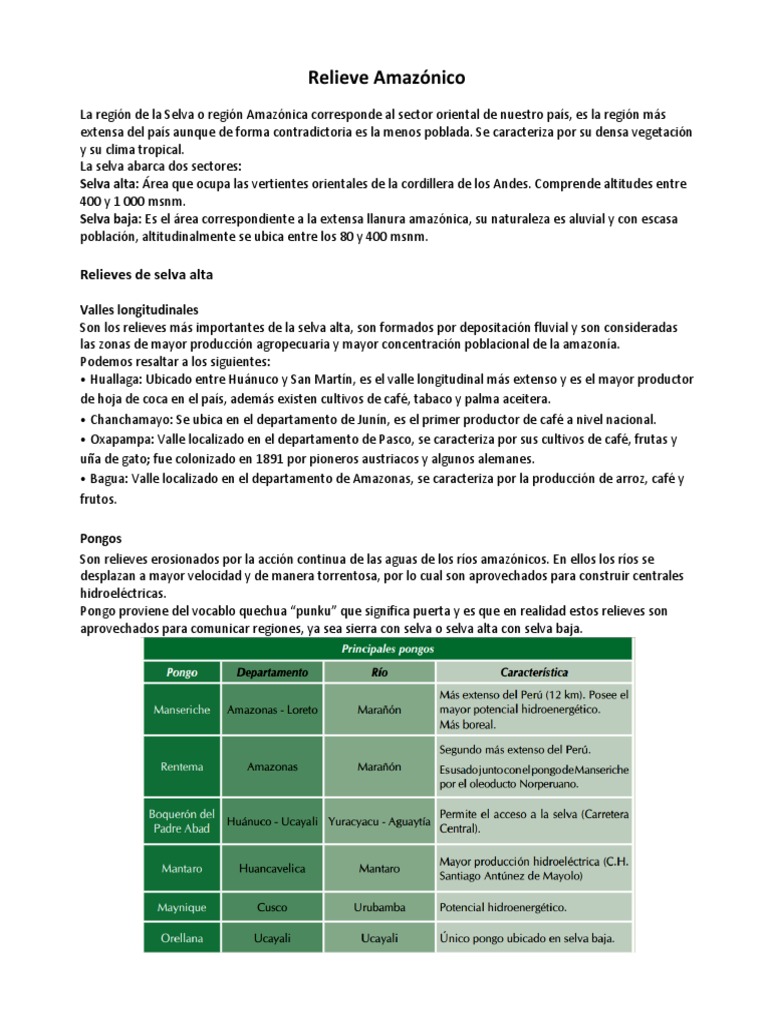 Relieve Amazónico | PDF | Selva | Selva amazónica