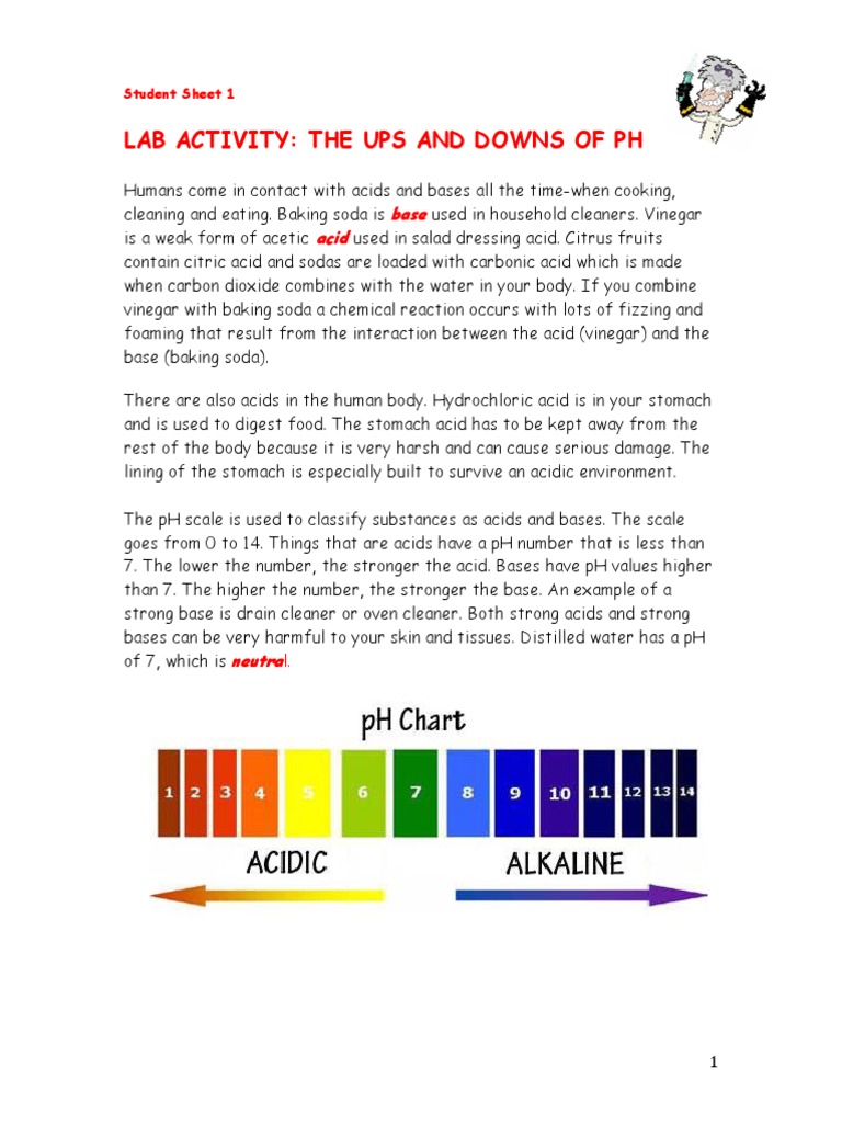 Lab Activity: The Ups and Downs of PH: Base Acid | Download Free PDF ...