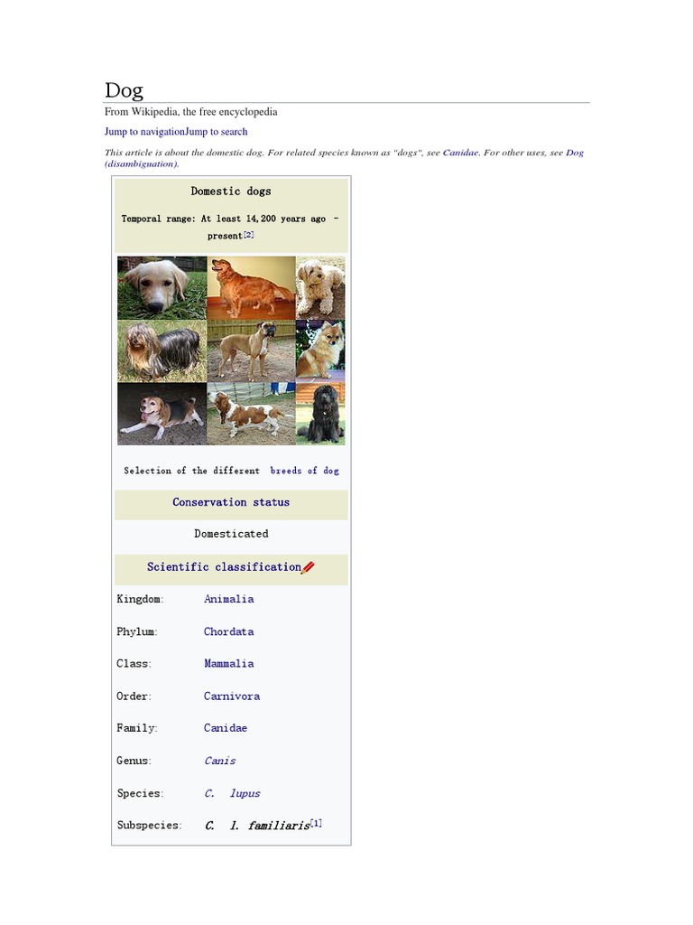 Domestic Dogs: From Wikipedia, The Free Encyclopedia | PDF | Dogs ...