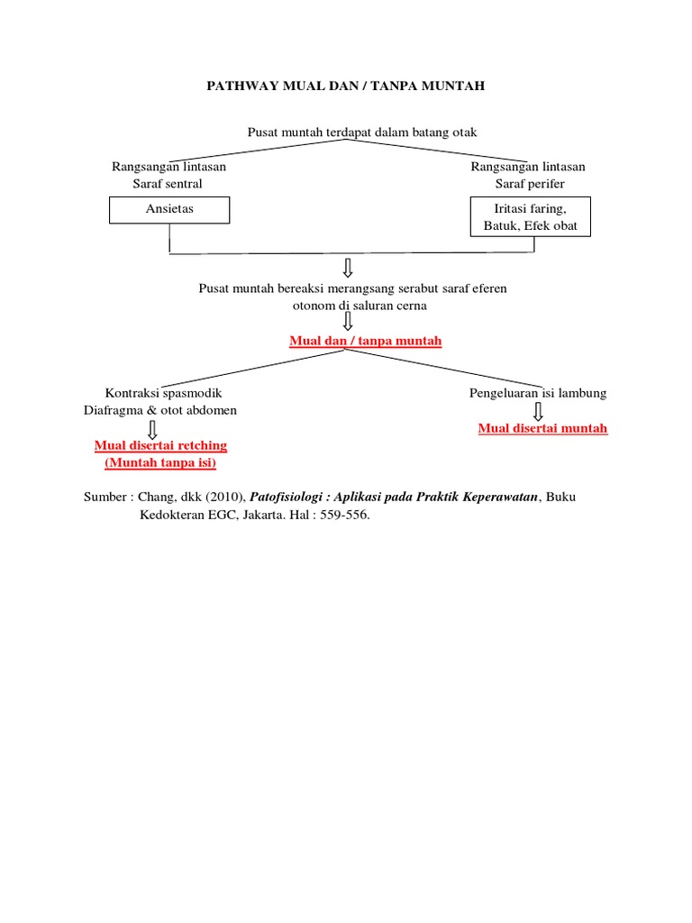 Pathway Mual Muntah | PDF