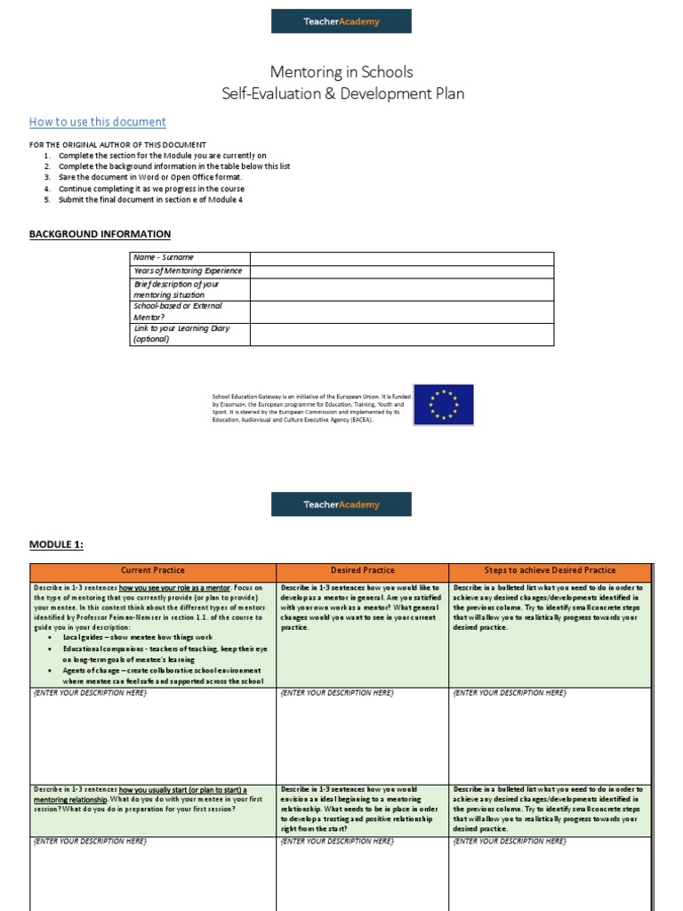 Self Evaluation And Development Plan Document Pdf Mentorship