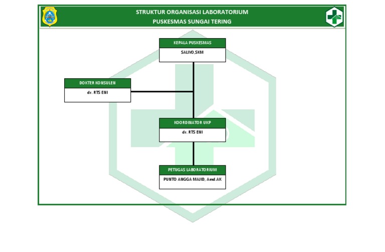 Struktur Organisasi Laboratorium Puskesmas Sungai Tering | PDF