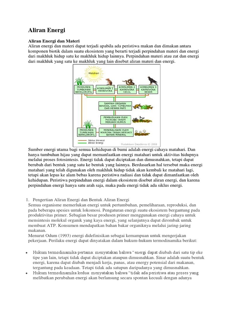 Aliran Energi Dan Materi | PDF