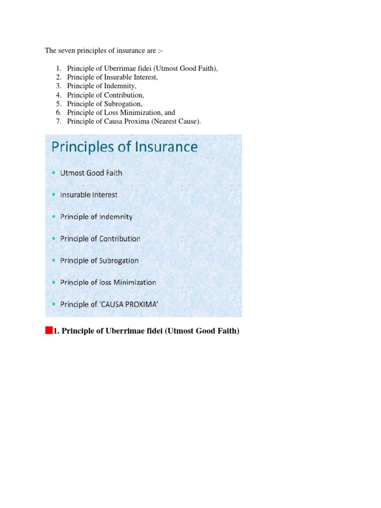 The Seven Principles of Insurance | PDF | Insurance | Damages