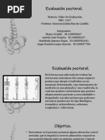 Prueba de Adams | PDF | La columna vertebral | Escoliosis