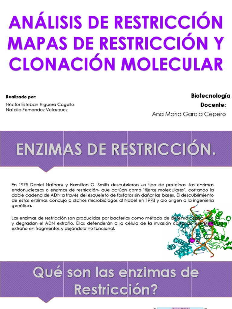 Enzimas de Restricción y Clonación Molécular | PDF | Plásmido | Clonación